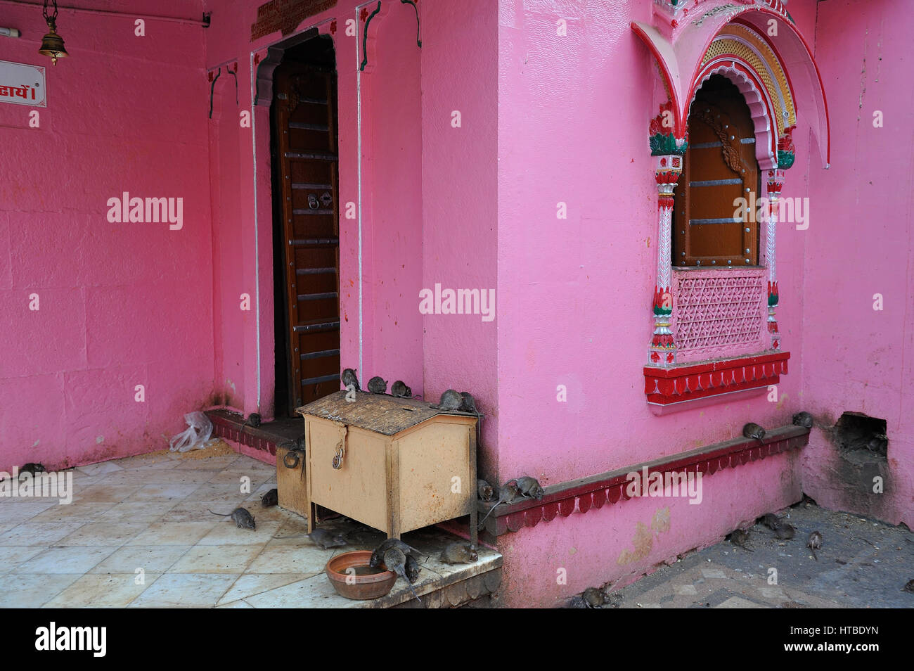 Mouse temple india hi-res stock photography and images - Alamy