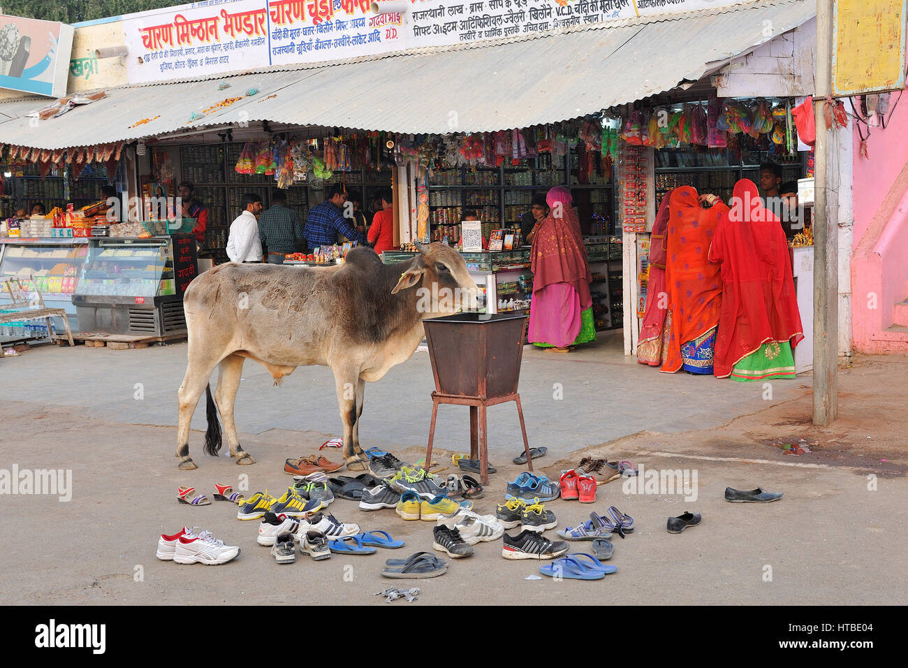 India Karni Mata at Deshnoke, Temple of Rats, Bikaner Stock Photo - Alamy