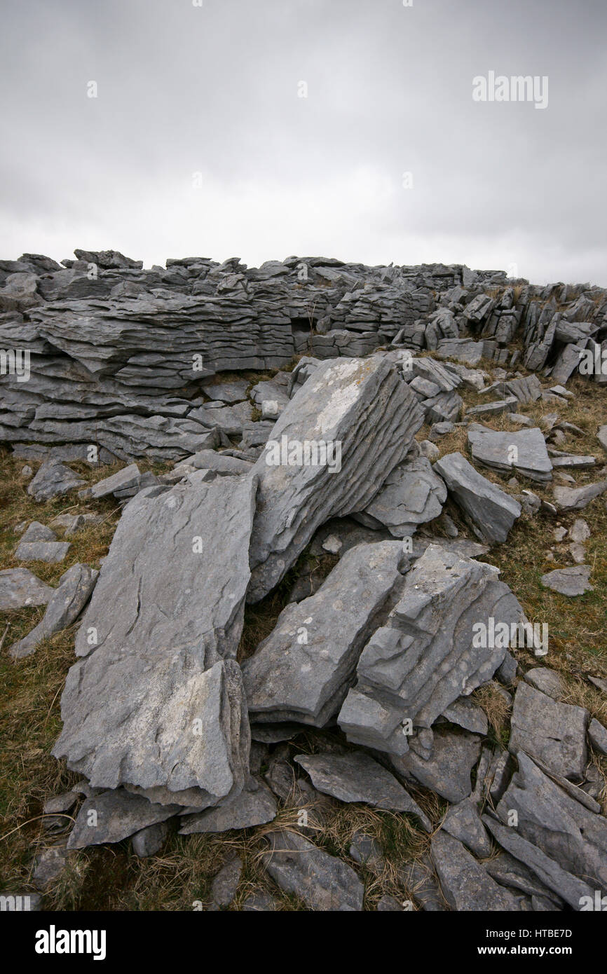 Limestone pavement at Penwyllt Stock Photo - Alamy