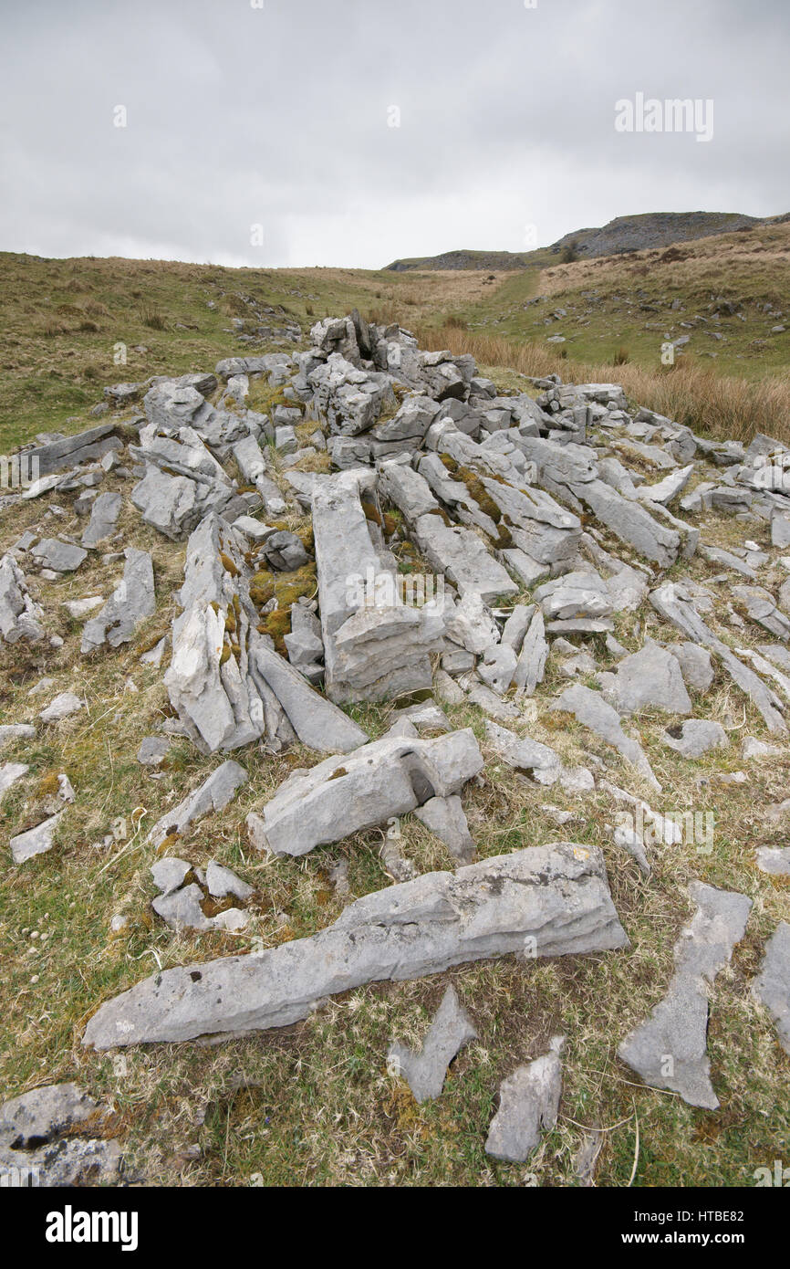 Limestone at Penwyllt Stock Photo - Alamy