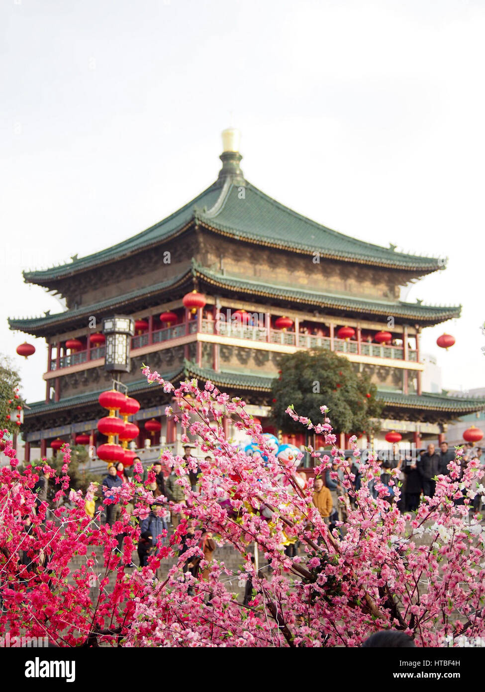 Pink blossoms on trees in front of iconic traditional drum tower in ...