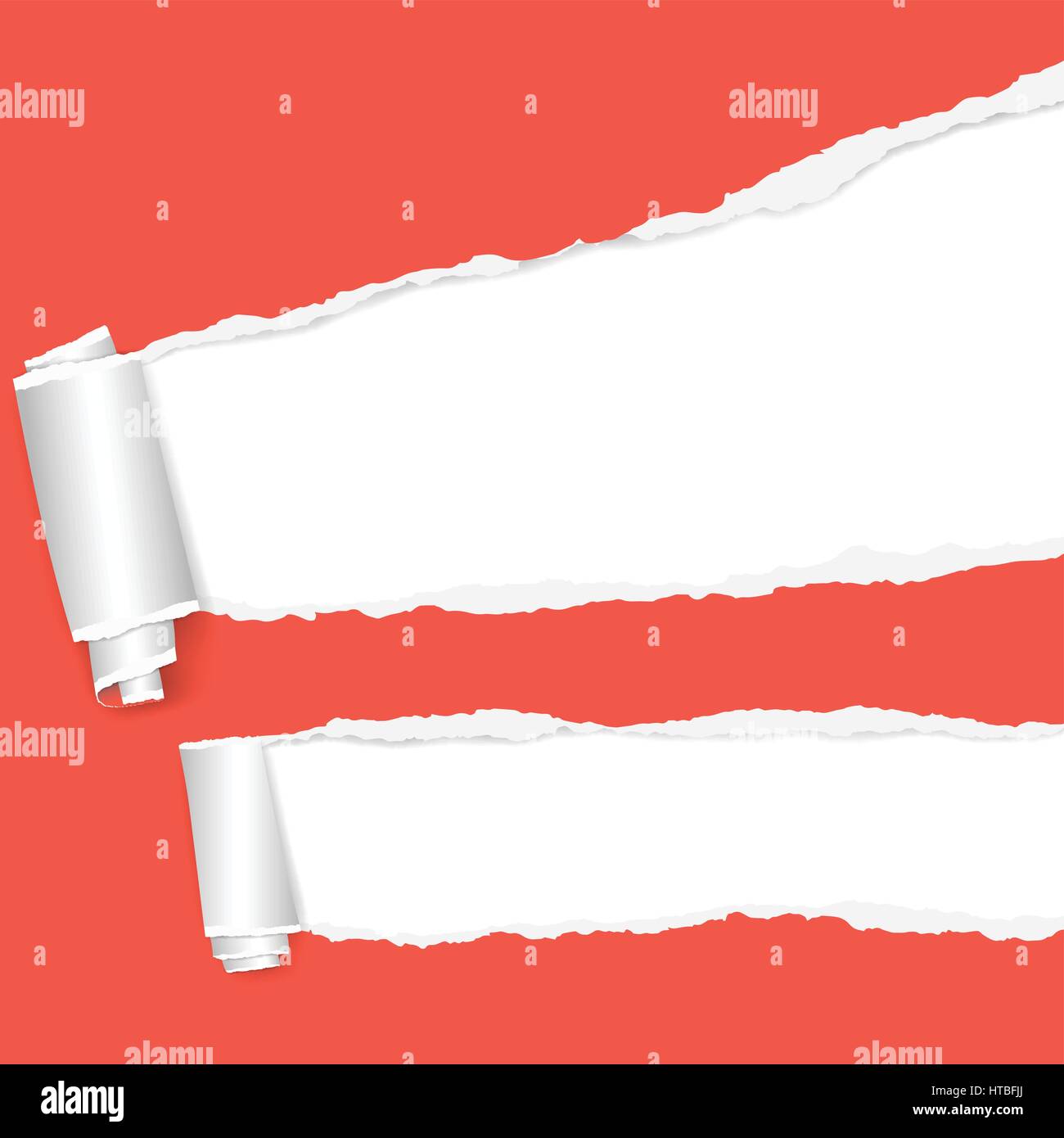 Rolled and ripped red notebook sheet, torn paper on white background ...