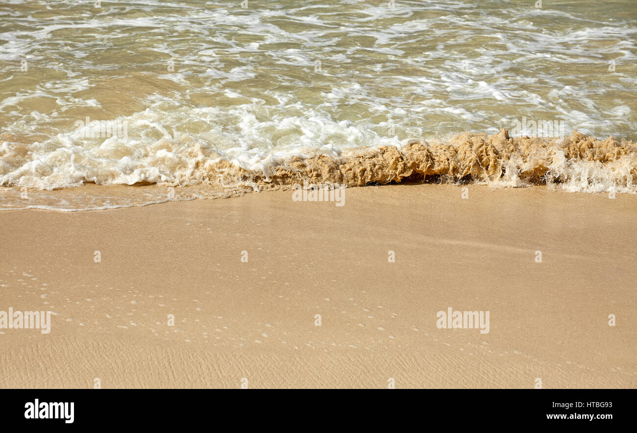 Exotic tropical island sandy beach and surf closeup Stock Photo - Alamy
