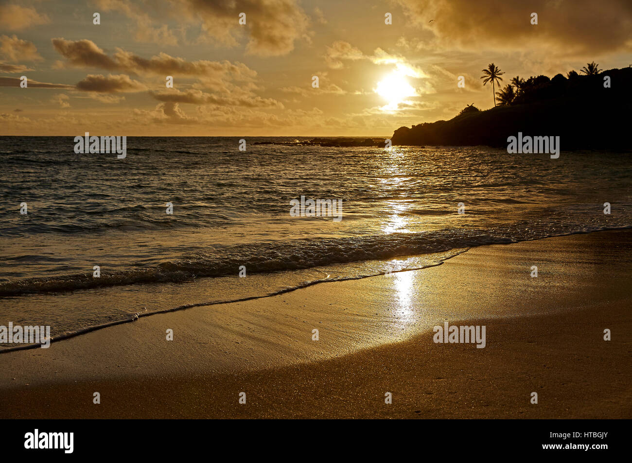 golden Hawaiian island sunset on the beach Stock Photo - Alamy