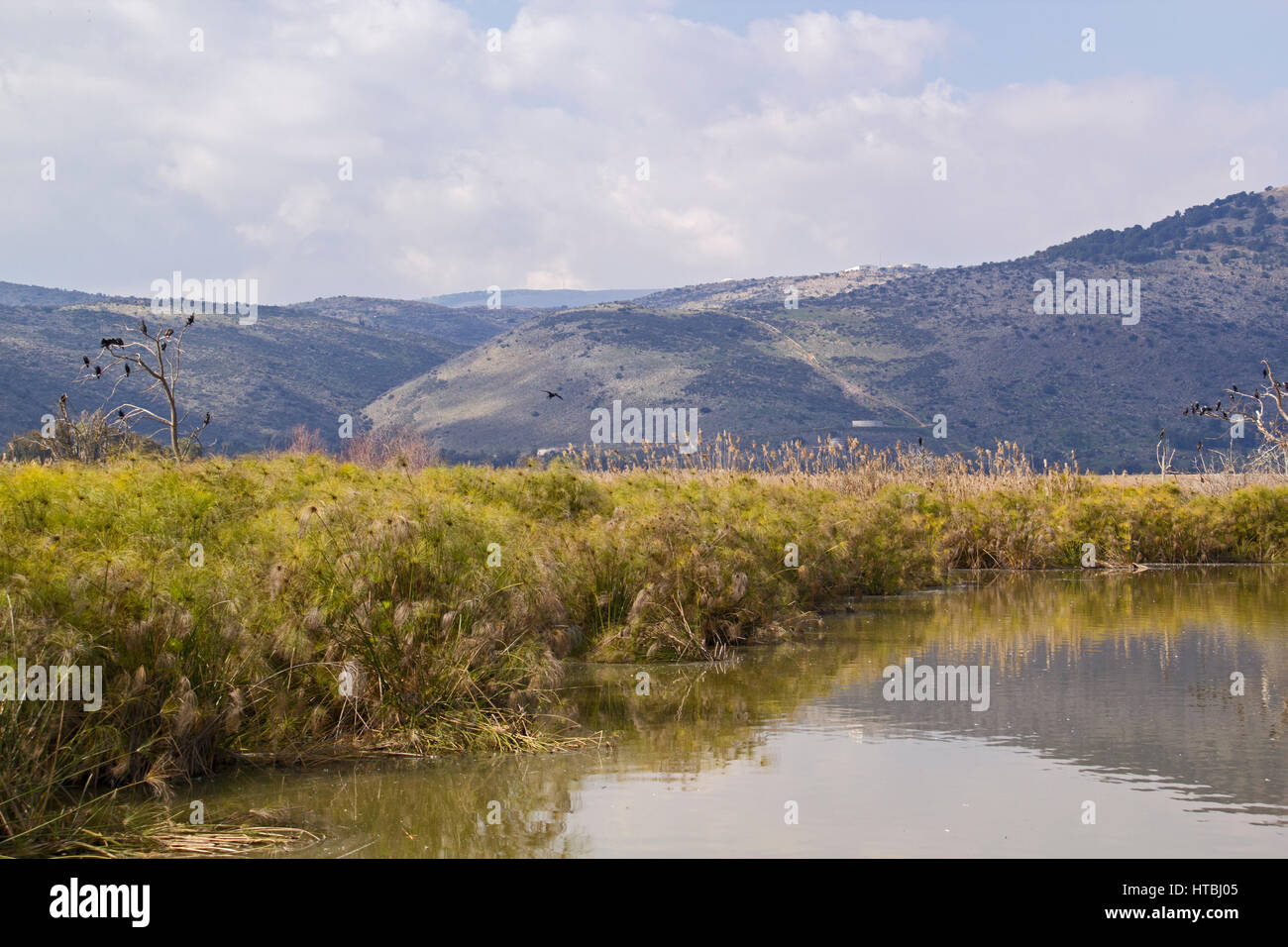 The Agamon Hula Park bird-watching sites and observe migrating courting ...