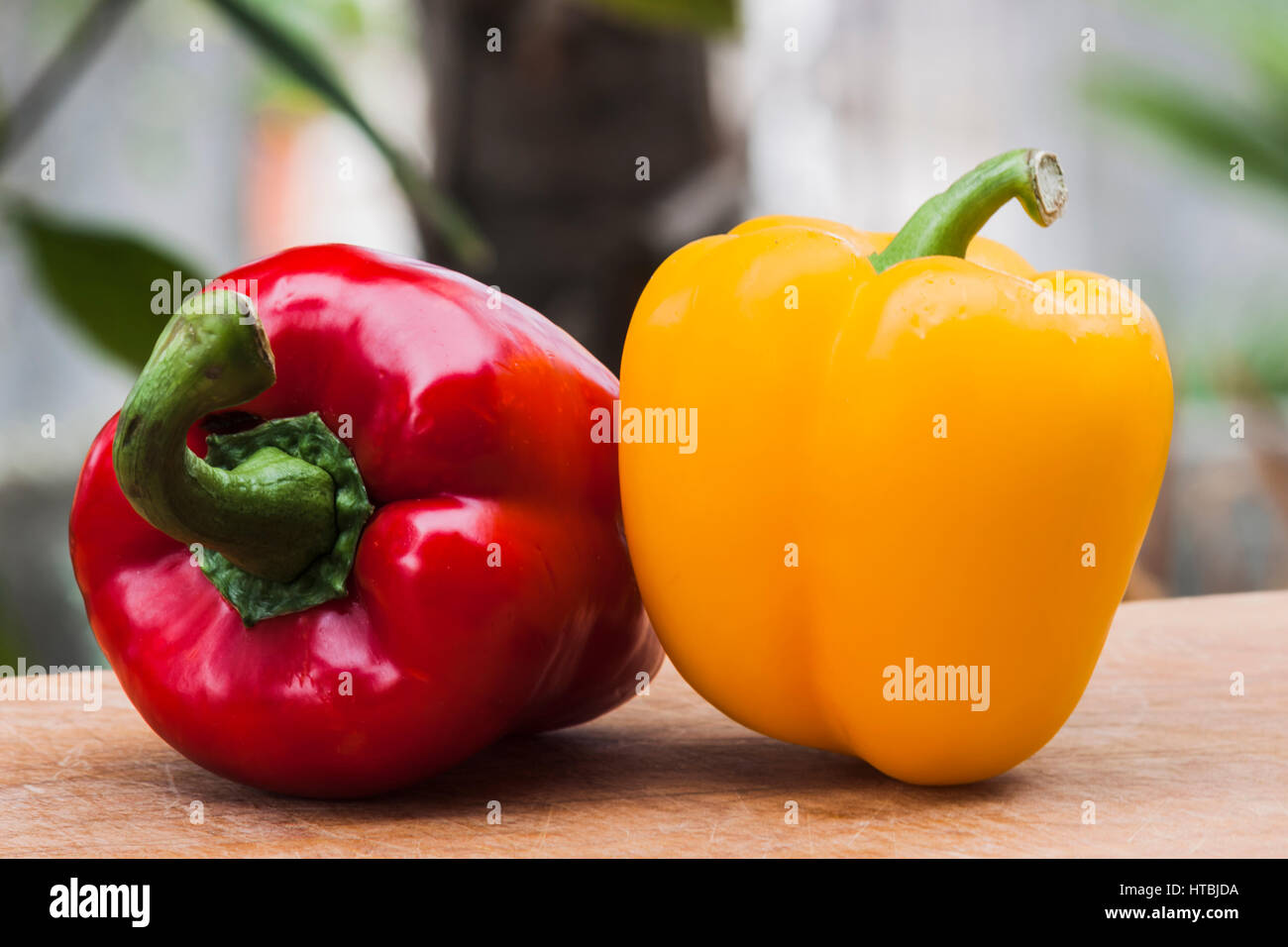 Red and yellow peppers Stock Photo - Alamy