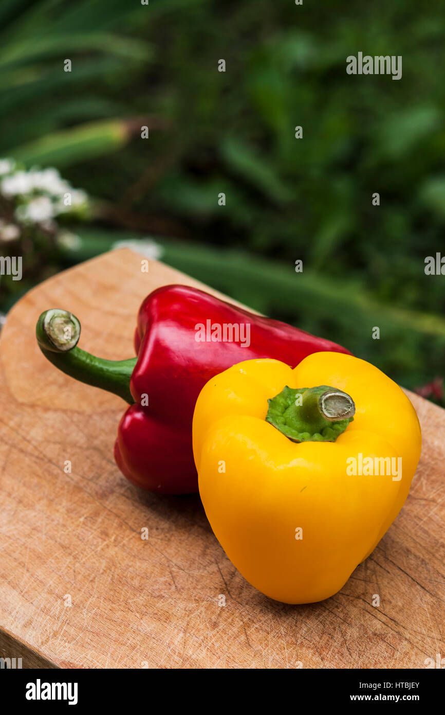 Red and yellow peppers Stock Photo - Alamy