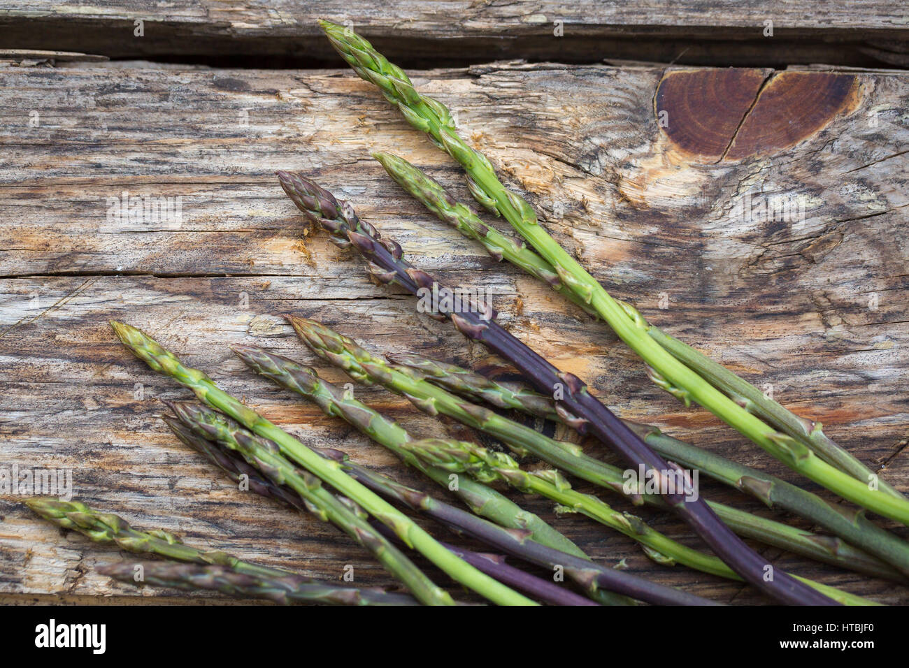 Bunch of fresh raw wild asparagus from the countryside Stock Photo - Alamy