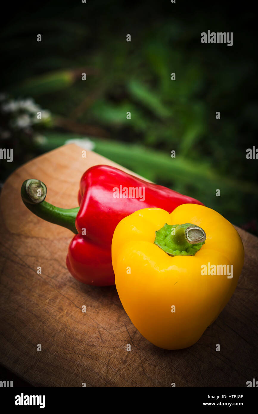 Red and yellow peppers Stock Photo - Alamy