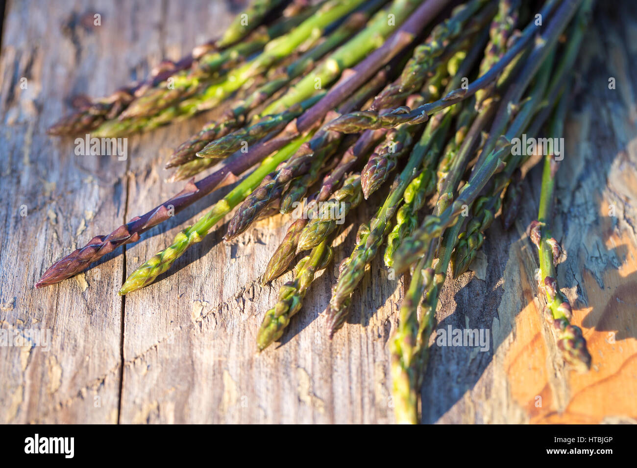 Bunch of fresh raw wild asparagus from the countryside Stock Photo - Alamy