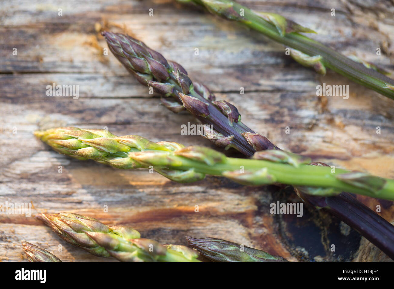 Bunch of fresh raw wild asparagus from the countryside Stock Photo - Alamy