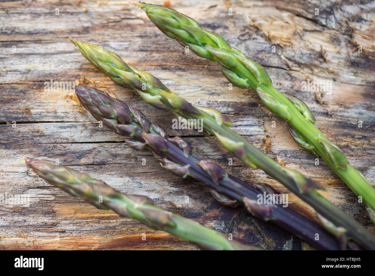Bunch of fresh raw wild asparagus from the countryside Stock Photo - Alamy