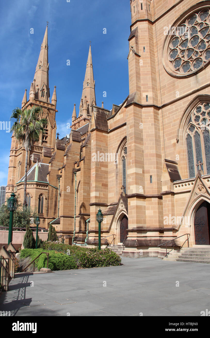 St Mary's cathedral in Sydney (Australia Stock Photo - Alamy