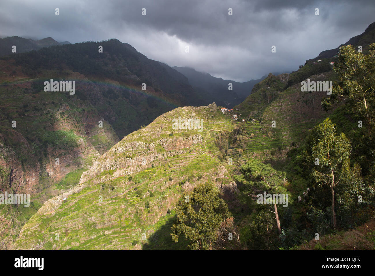 Madeira vegetation hi-res stock photography and images - Alamy