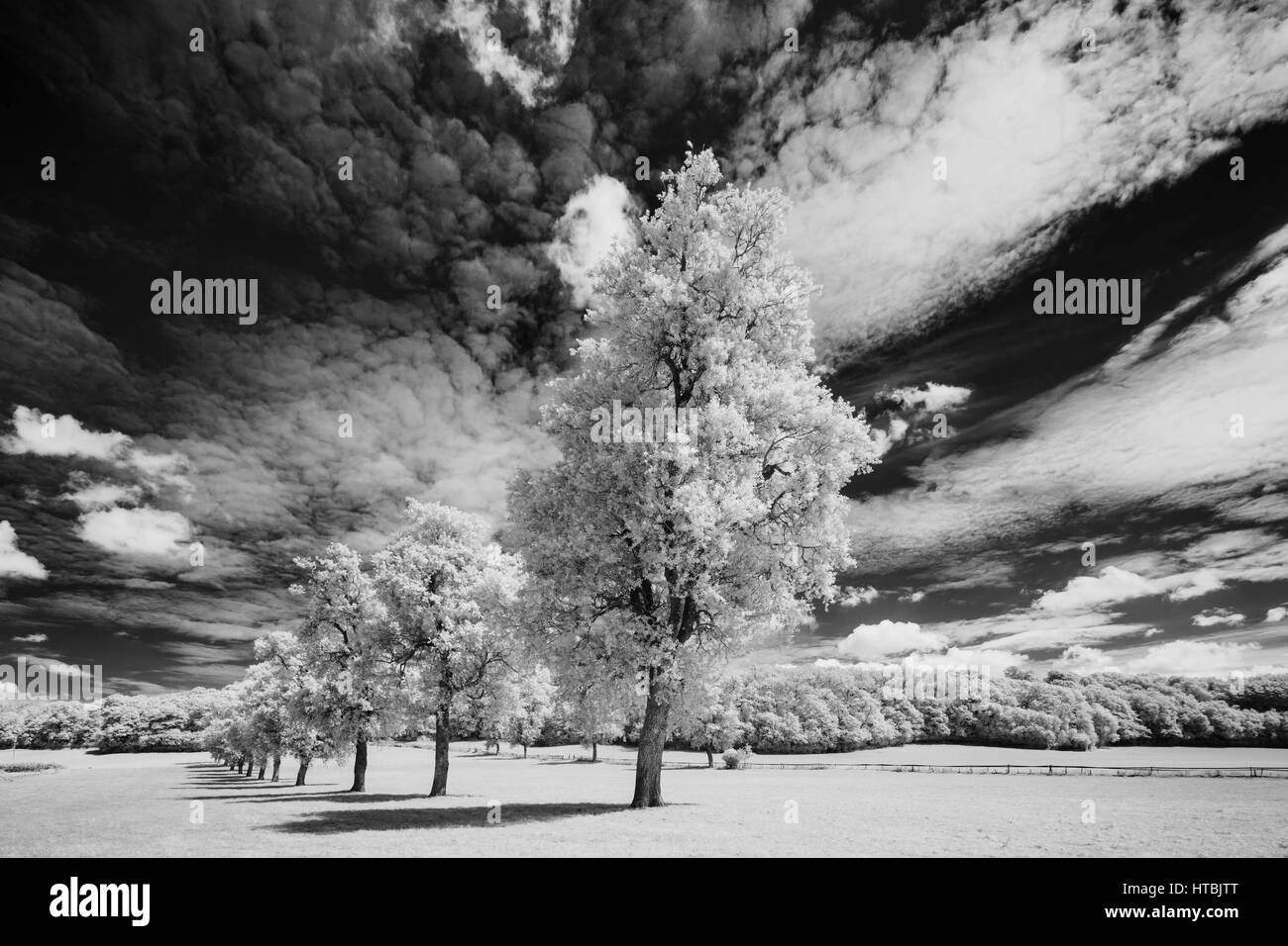 Somerset england summer Black and White Stock Photos & Images - Alamy