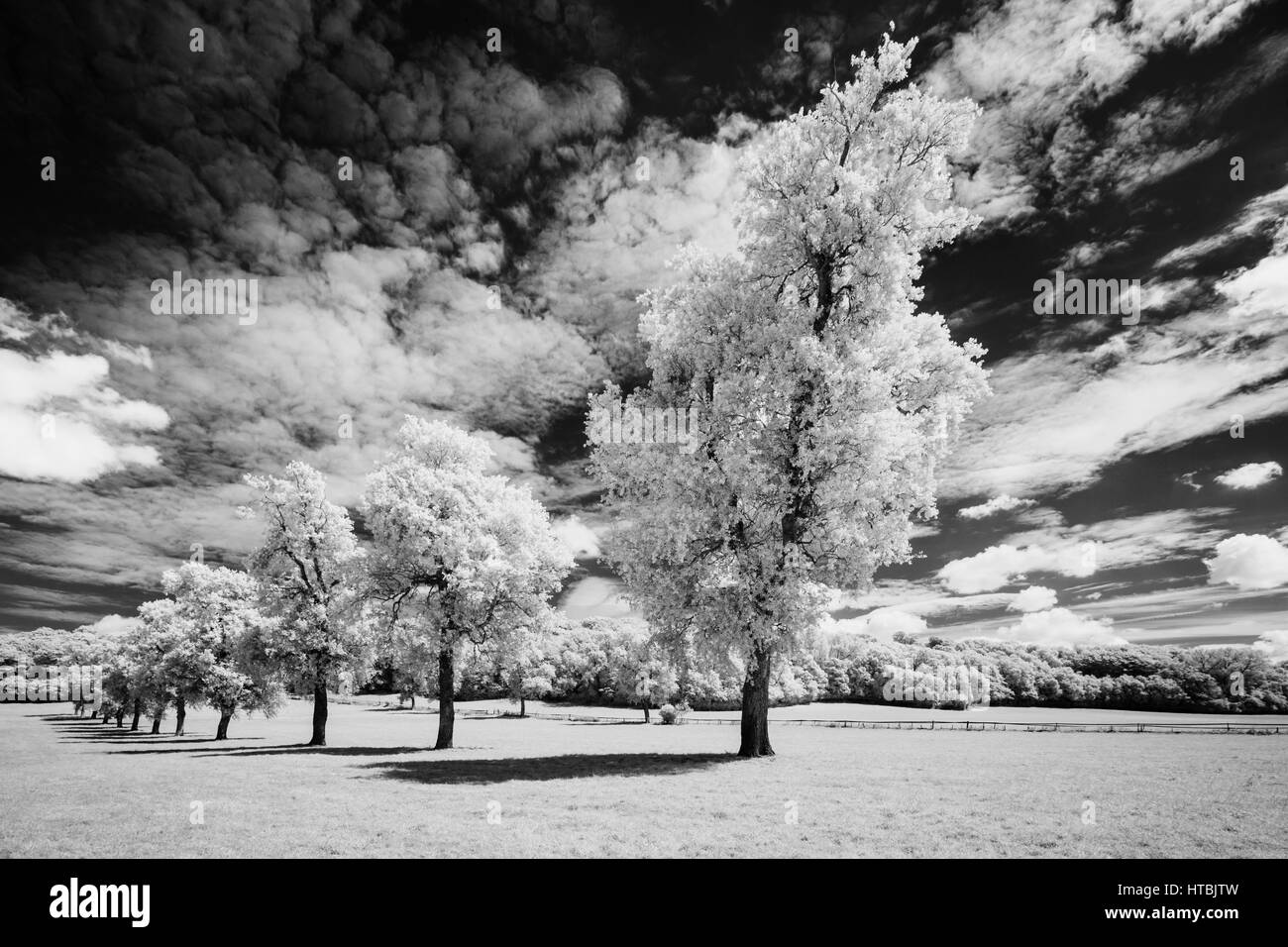 Uk port view Black and White Stock Photos & Images - Alamy