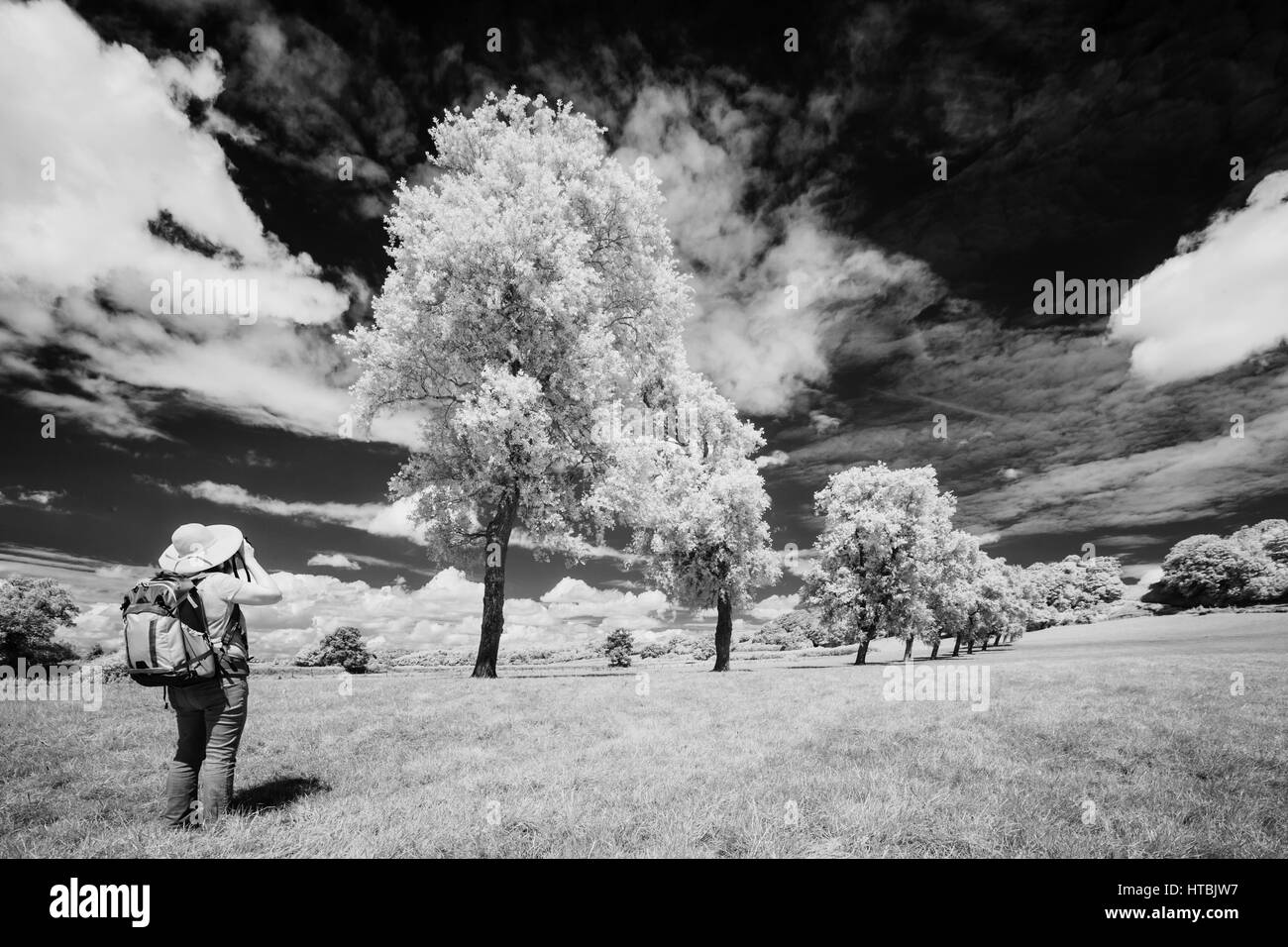 Somerset england summer Black and White Stock Photos & Images - Alamy
