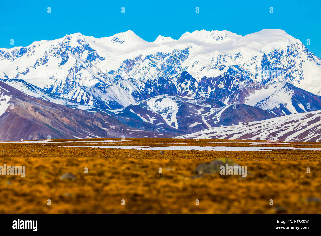 Ice-capped mountains of the eastern Alaska Range loom over rolling ...