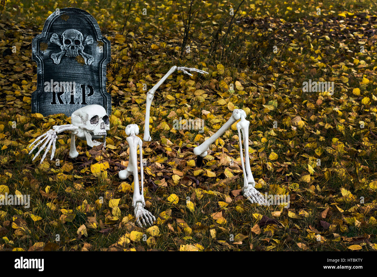Skeleton tombstone on lawn halloween hi-res stock photography and ...