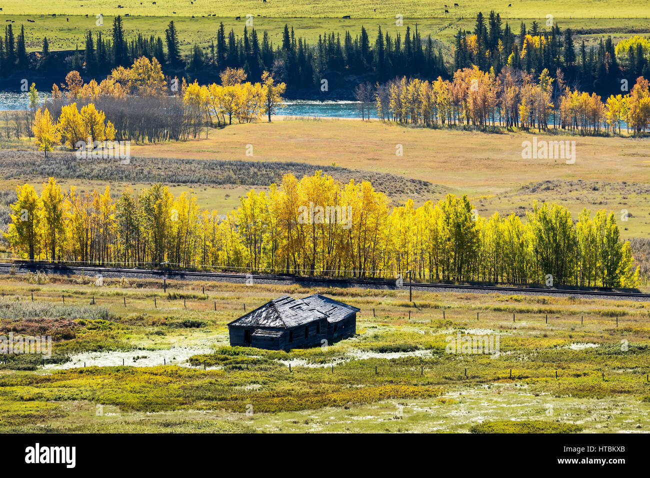 Colourful trees line river hi-res stock photography and images - Alamy