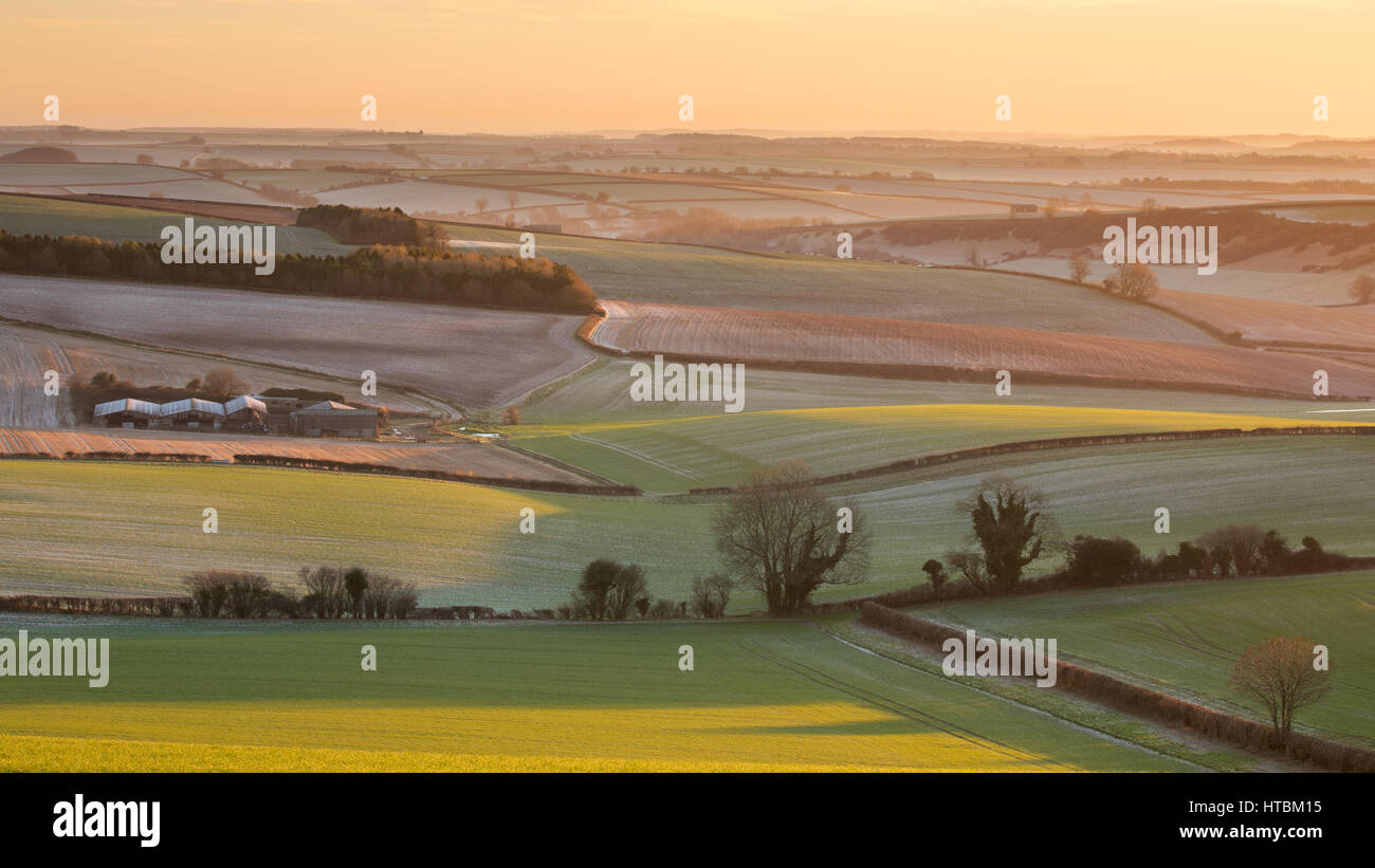 A frosty morning in the Piddle Valley, Dorset, England, UK Stock Photo ...