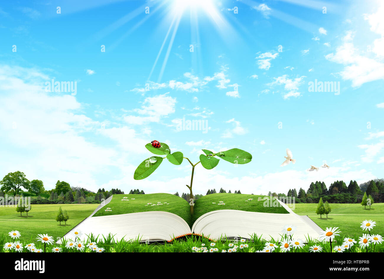 Green Saving Message Board Stock Photo - Alamy