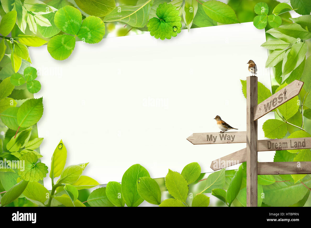Green Saving Message Board Stock Photo - Alamy