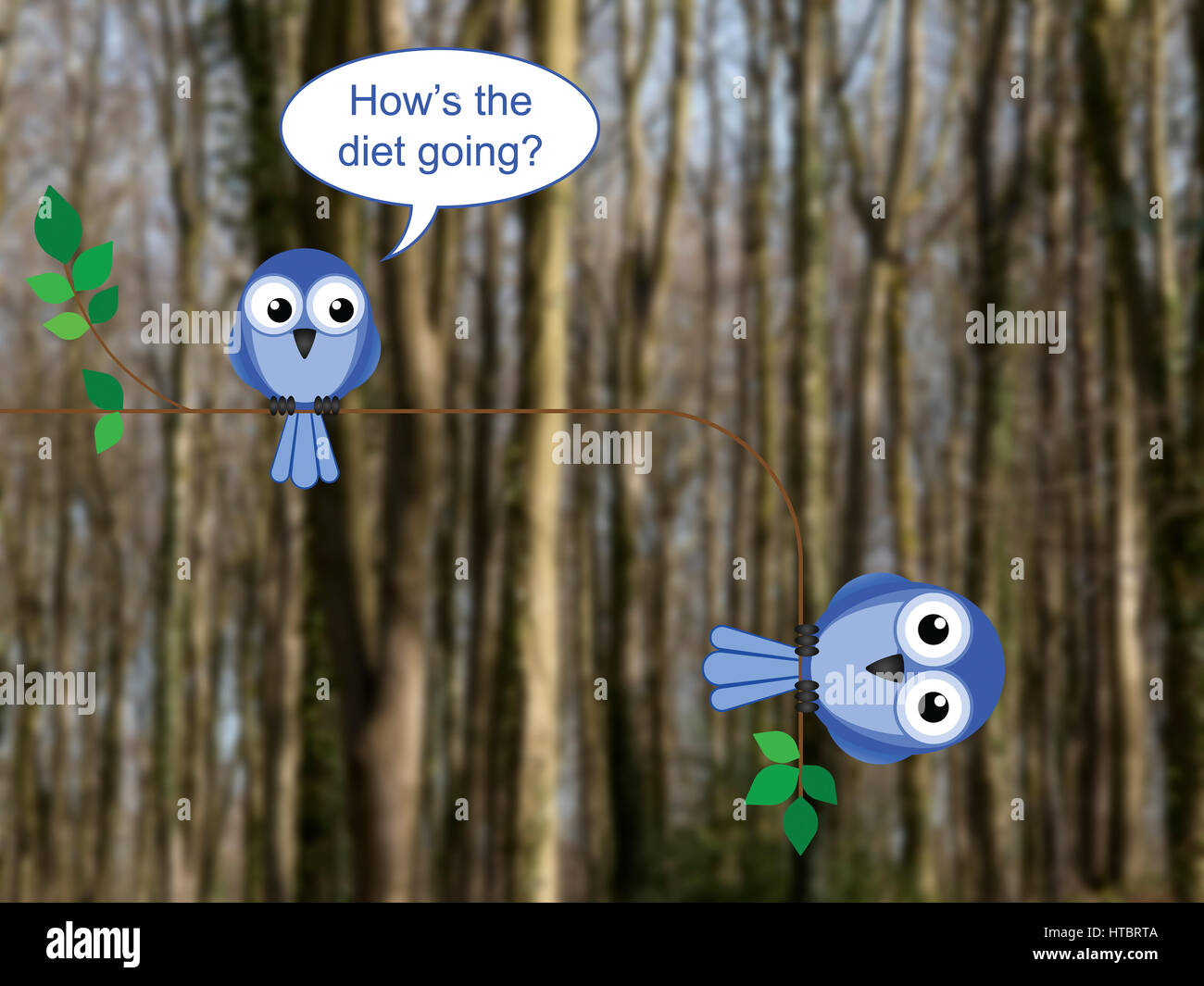 Fat bird on a diet perched on a tree branch against a blurred woodland ...