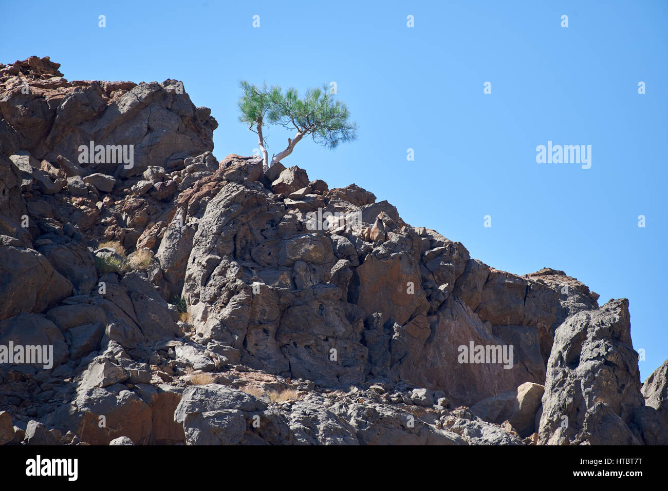 Inhospitable environment hi-res stock photography and images - Alamy