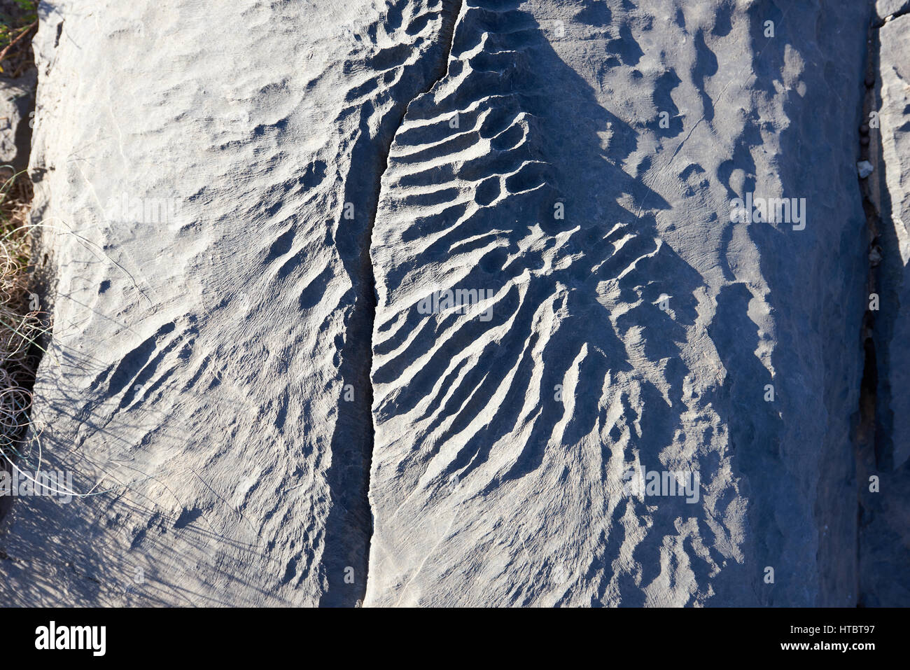 Close up of patterns on rock caused by erosion Stock Photo - Alamy