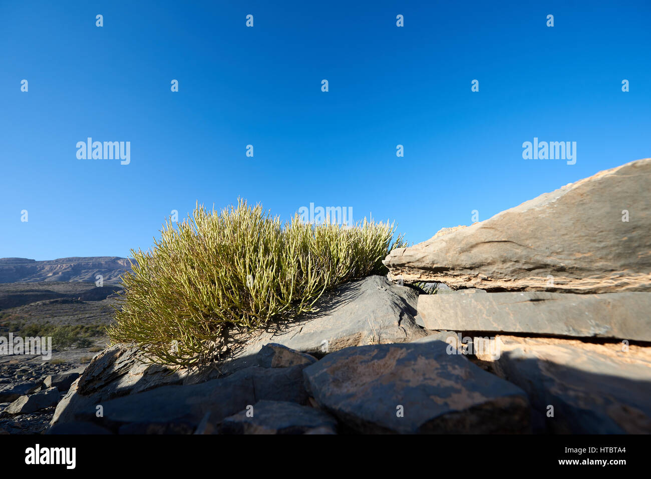 Spiky rocks hi-res stock photography and images - Alamy