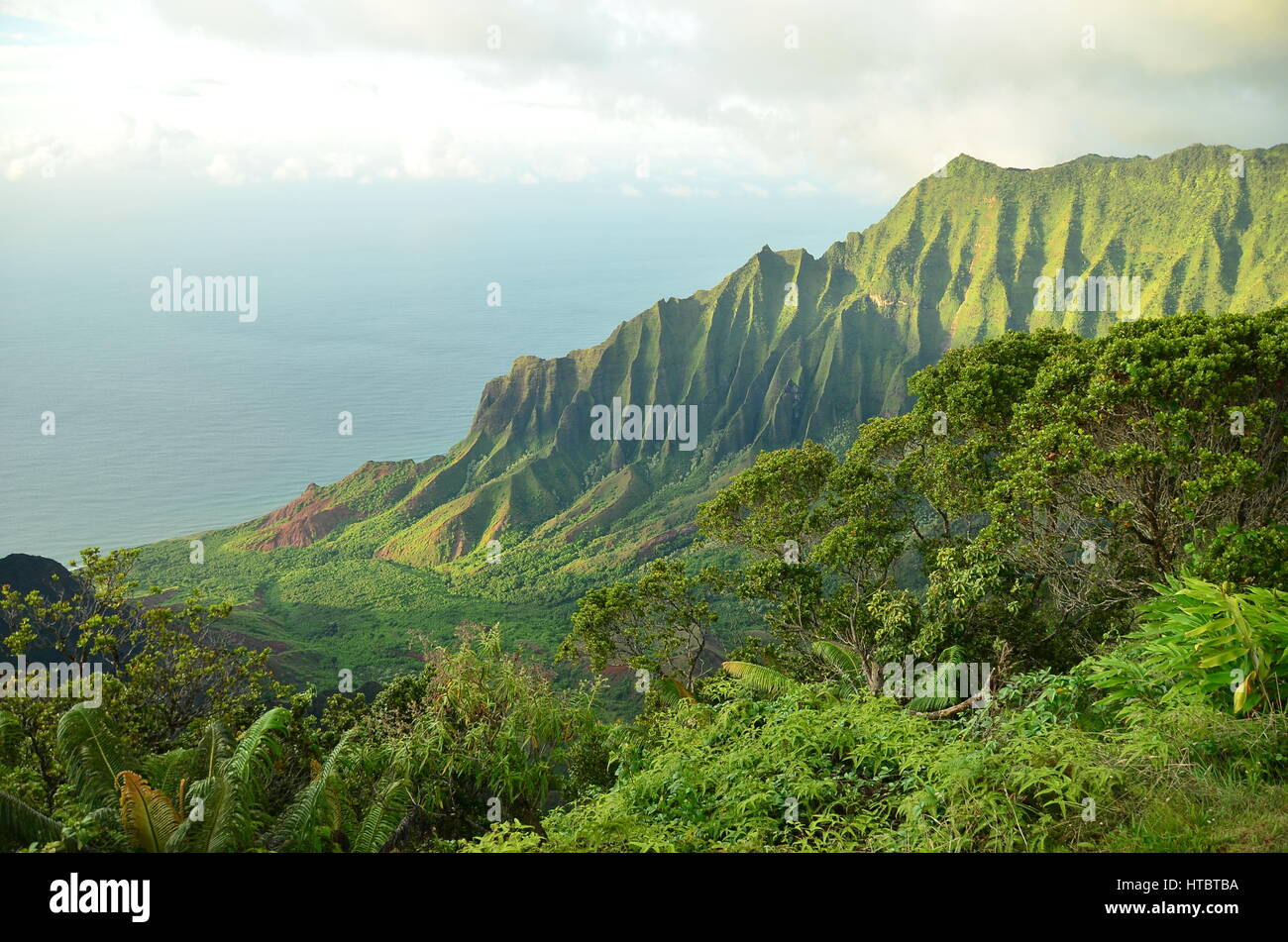 NaPali Cliffs in Kauai, Hawaii, late afternoon Stock Photo - Alamy