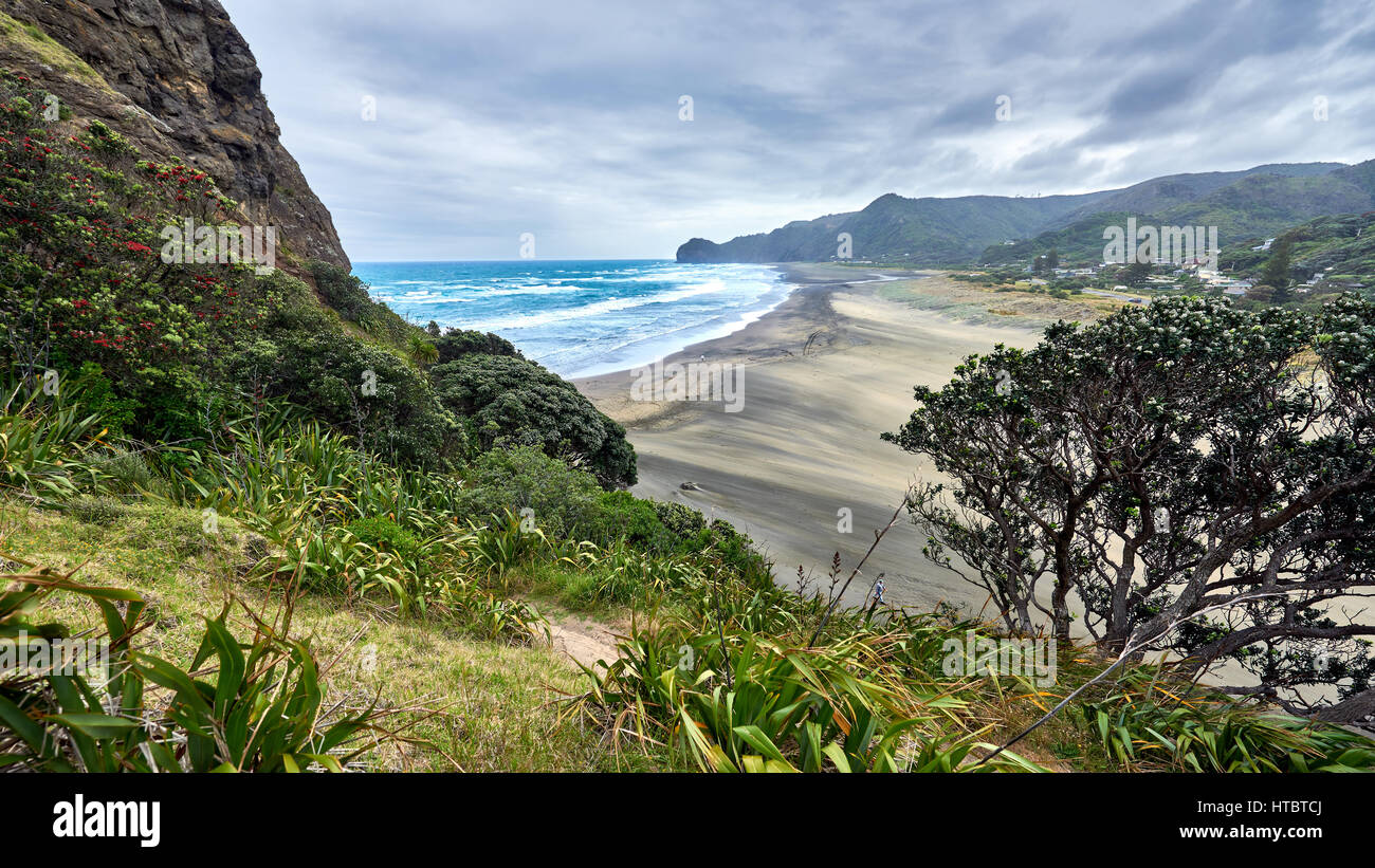 View of Piha beach in New Zealand from the slopes of Lion's rock Stock ...