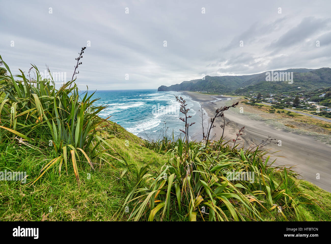 View of Piha beach in New Zealand from the slopes of Lion's rock Stock ...