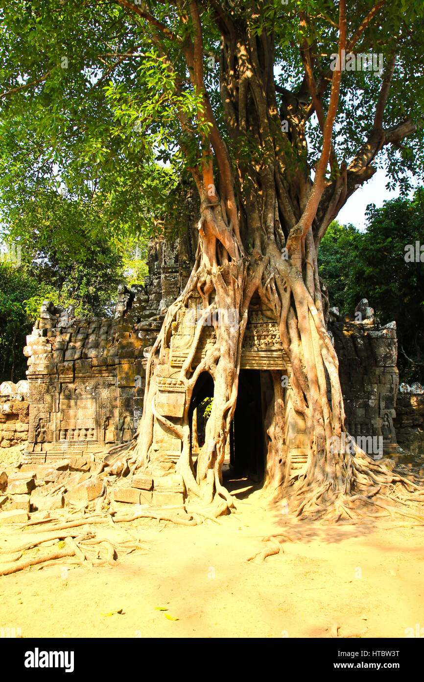 Ta som temple angkor hi-res stock photography and images - Alamy