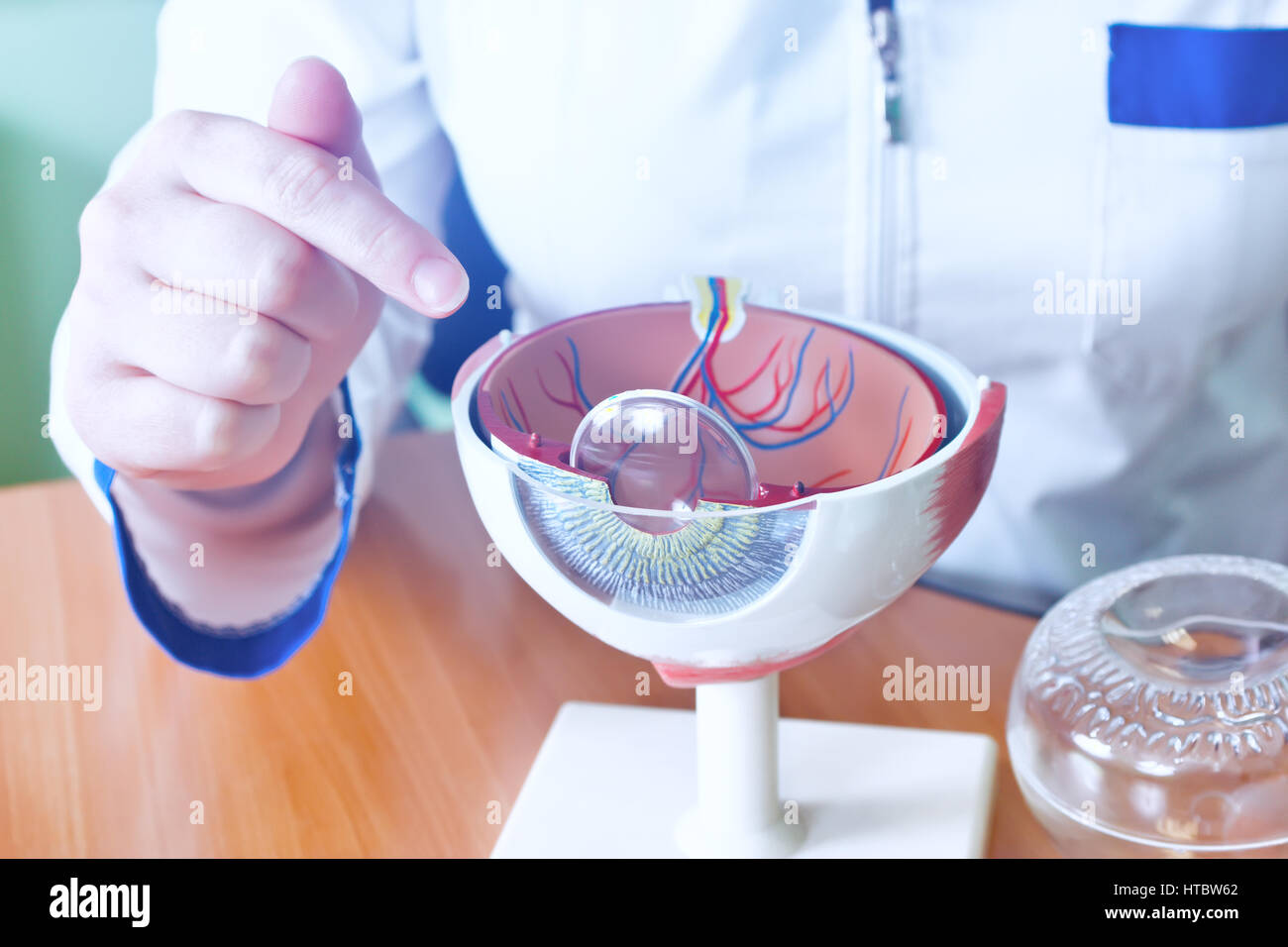 Ophthalmology oculus sample closeup. Ophthalmology, eye model close-up ...