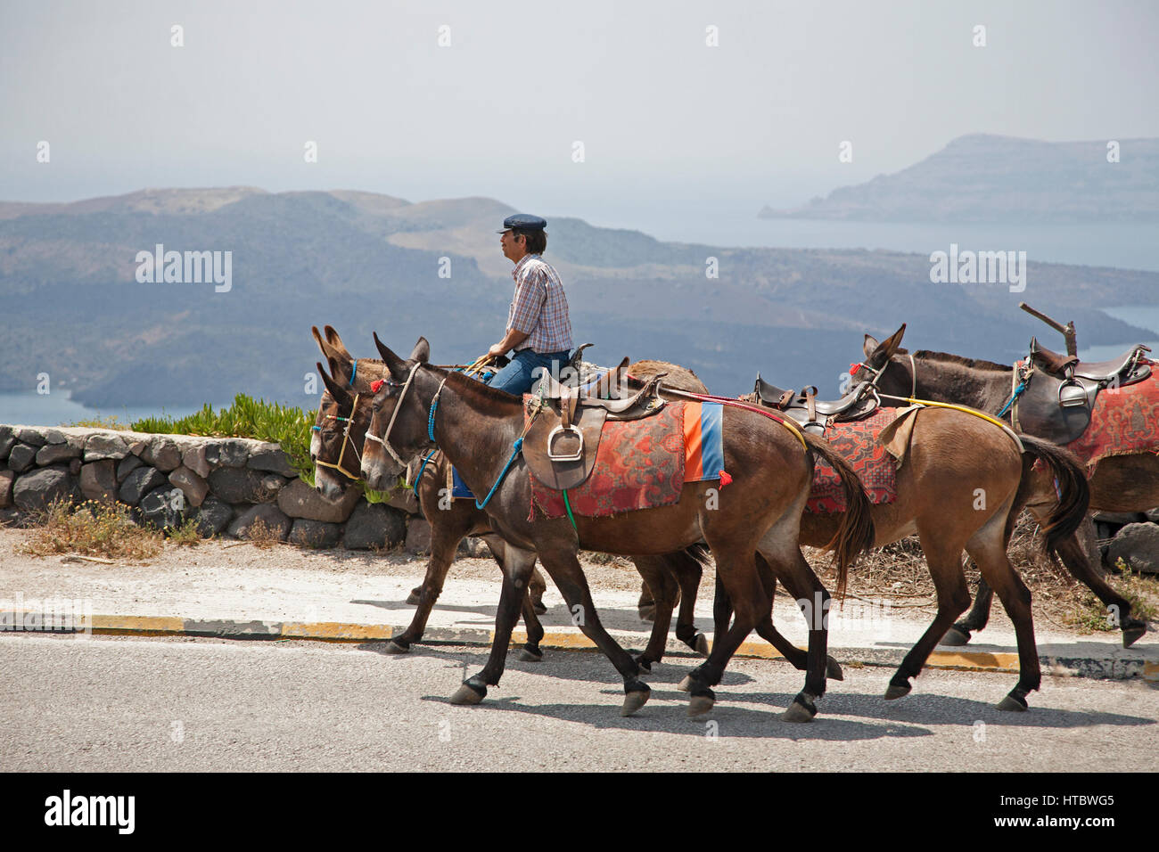 Mule train hi-res stock photography and images - Alamy