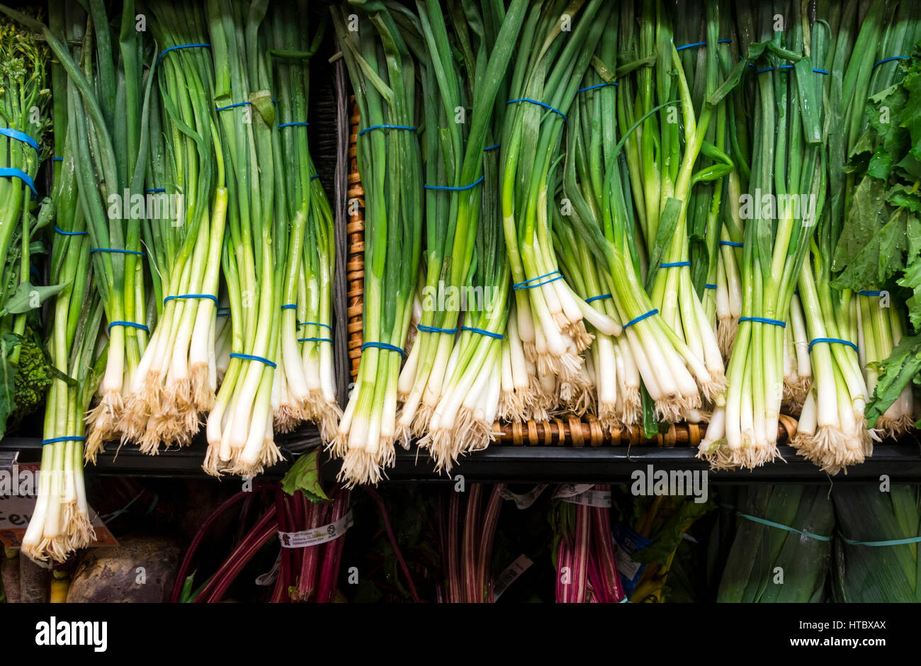 Scallions spring onions hi-res stock photography and images - Alamy