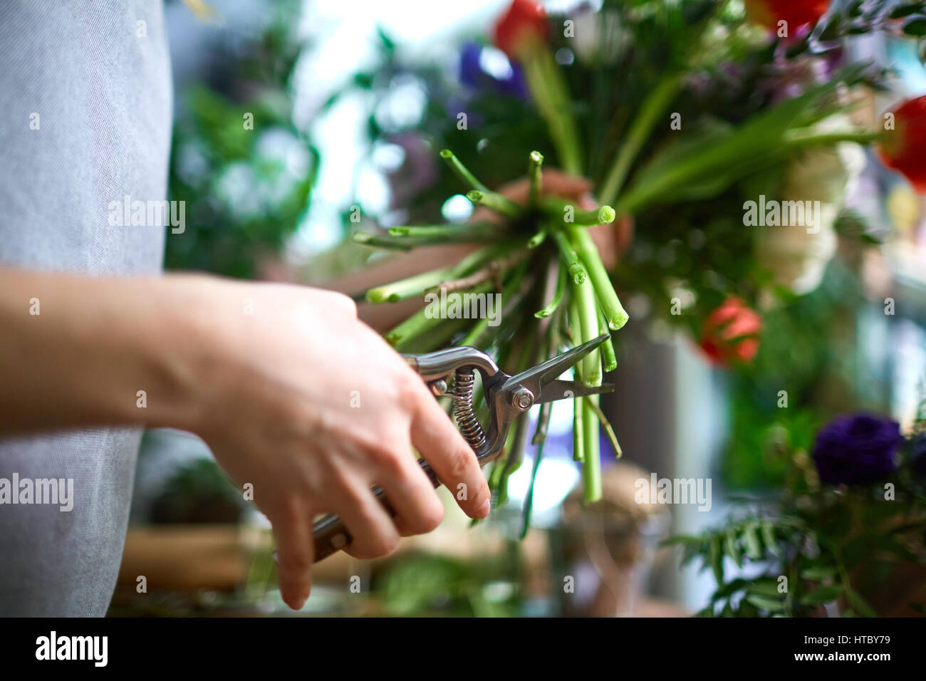 Human hand with scissors cutting floral stems Stock Photo - Alamy