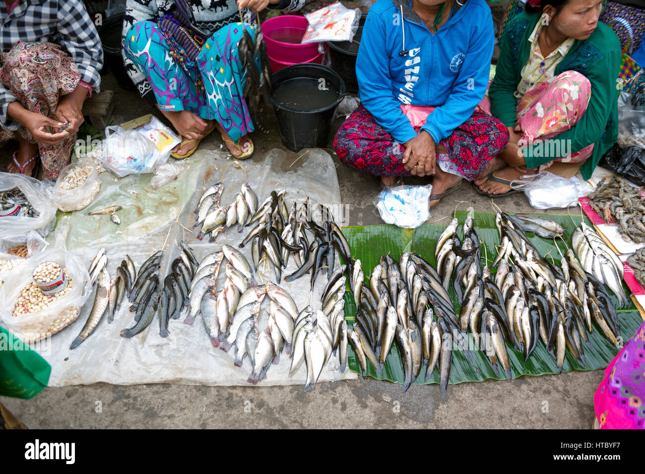 Myanmar (ex Birmanie). Nyaung Shwe. Shan state. Market. Fish vendor ...