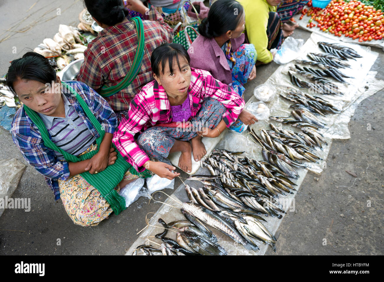 Myanmar (ex Birmanie). Nyaung Shwe. Shan state. Market. Fish vendor ...