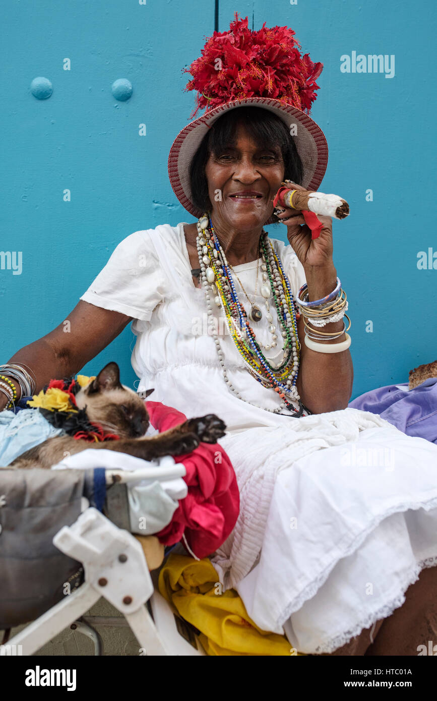 Cat smoking a cigar hi-res stock photography and images - Alamy