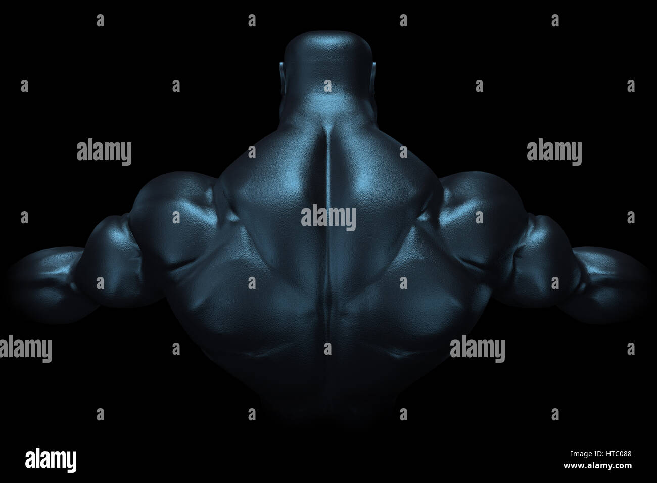 Triceps brachii hi-res stock photography and images - Alamy