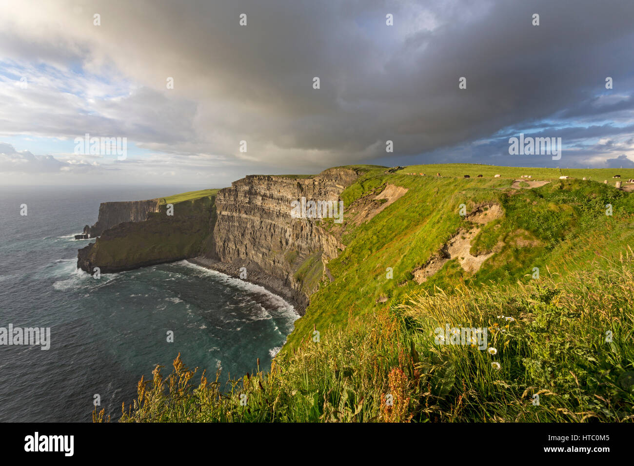 Cliffs of Moher, County Clare, Ireland, Europe Stock Photo - Alamy