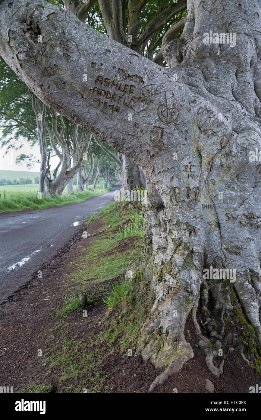 Ballymoney, county antrim hi-res stock photography and images - Alamy