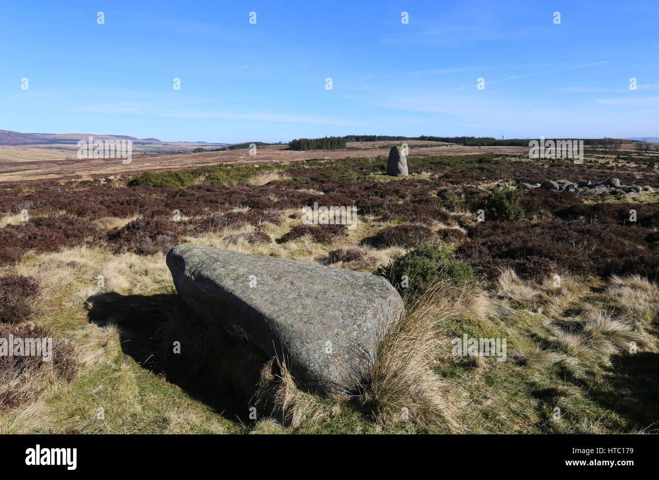 Fowlis Wester standing stone Perthshire Scotland March 2017 Stock Photo ...