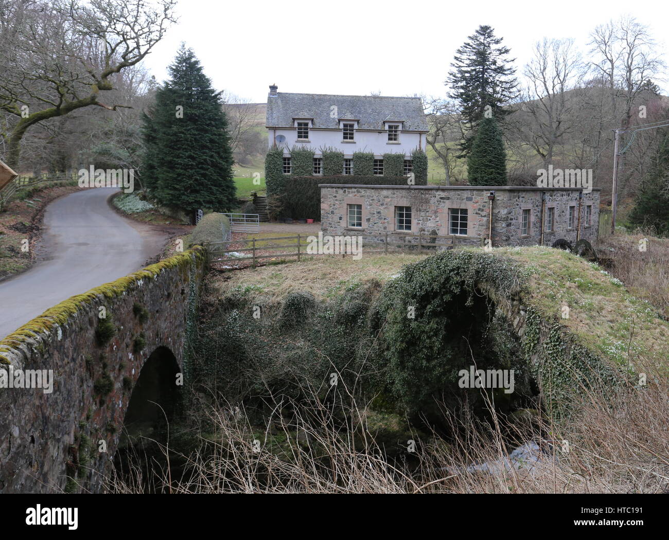 Shaggie hi-res stock photography and images - Alamy