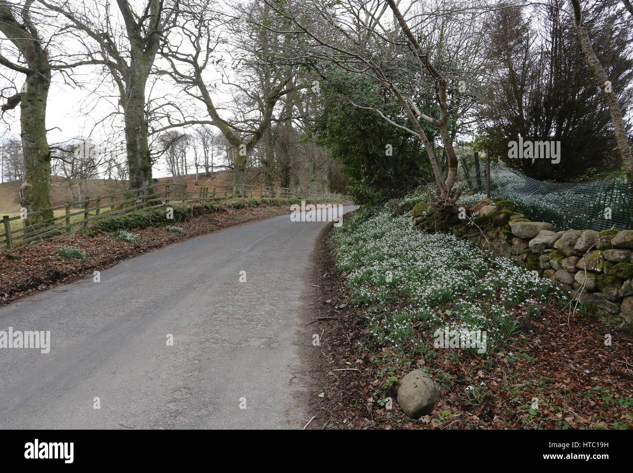 Monzie street scene Perthshire Scotland March 2017 Stock Photo - Alamy