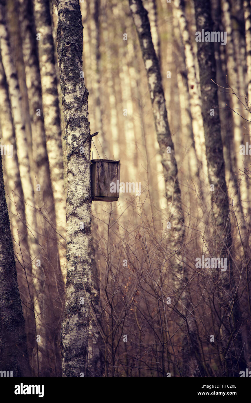 Nesting box in the forest Stock Photo - Alamy