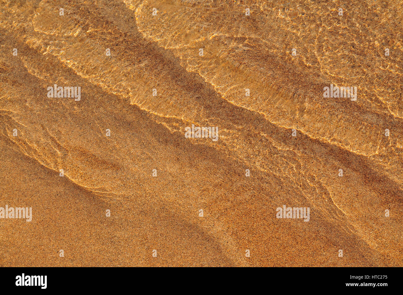 rippled water on golden beach shoreline Stock Photo - Alamy